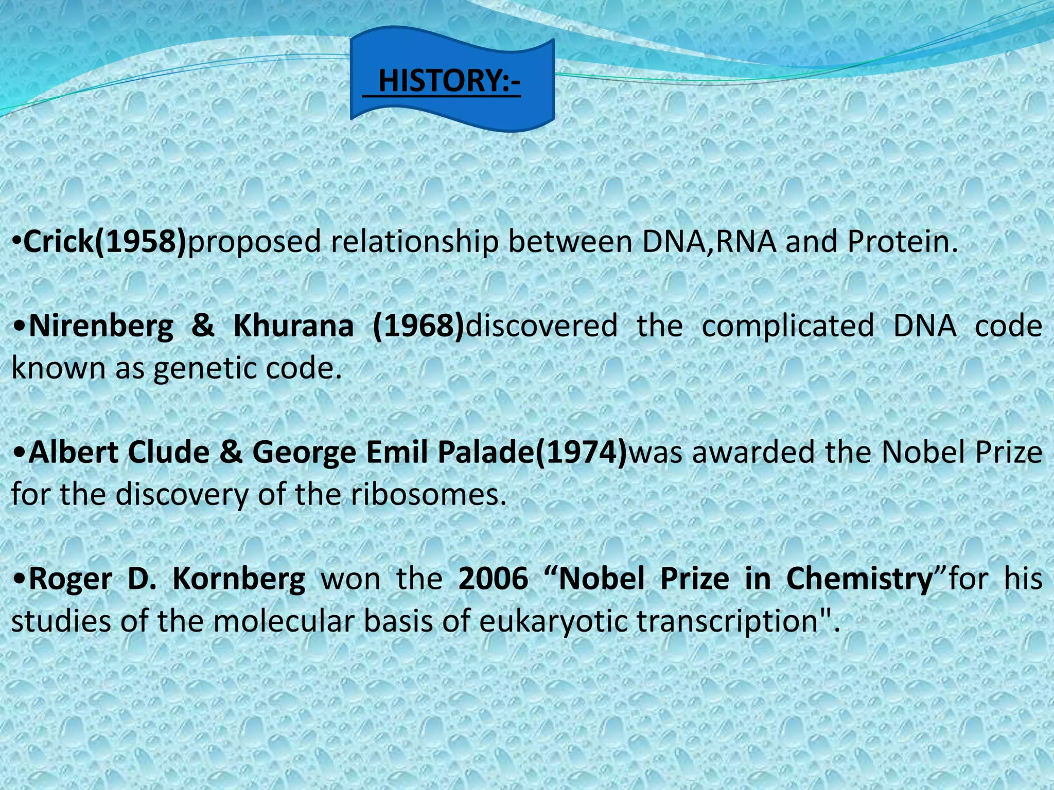 Biosynthesis of protein in eukariotes | PPT