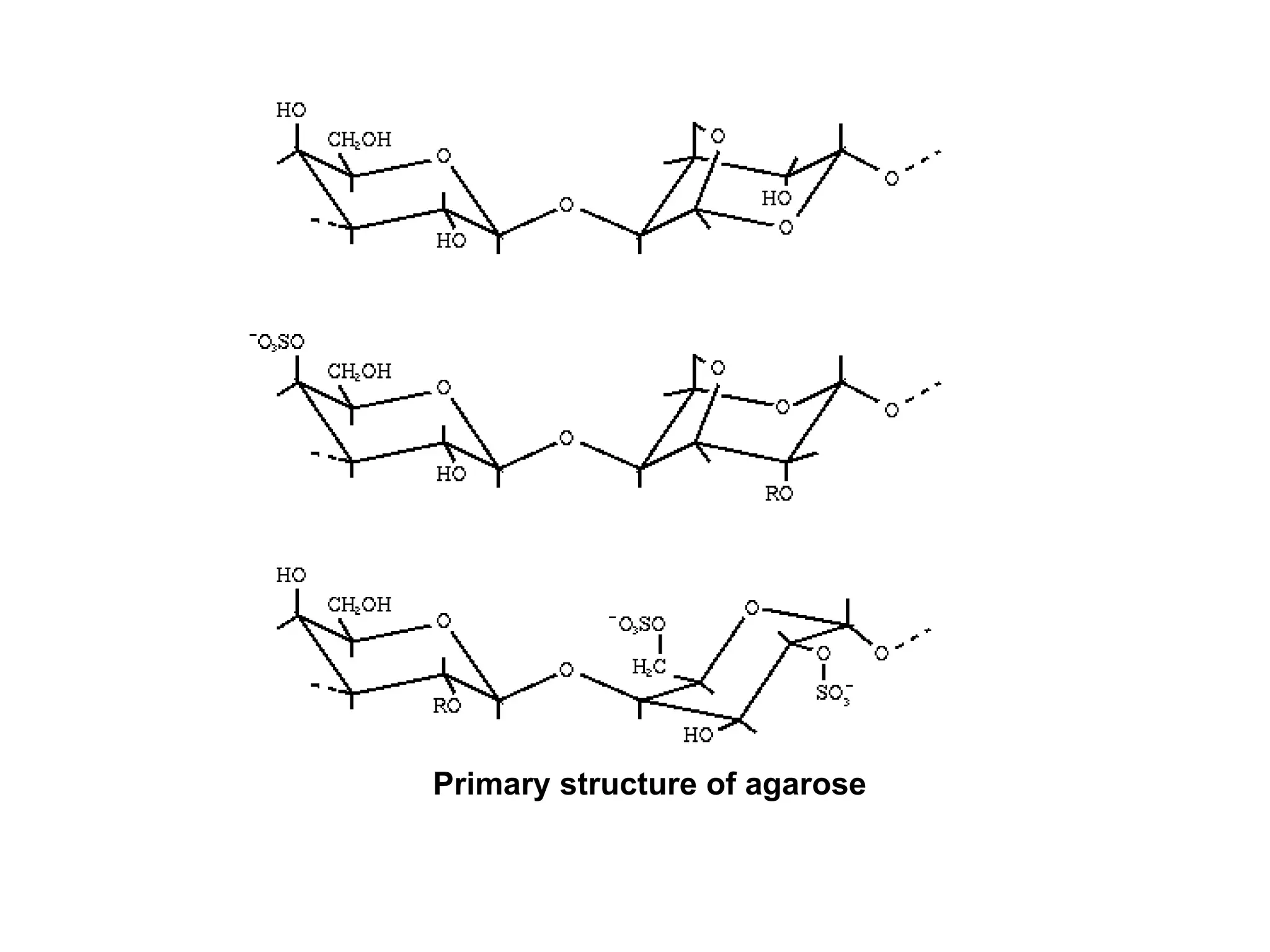 Heteropolysaccharide | PPTX