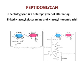 Heteropolysaccharide | PPTX