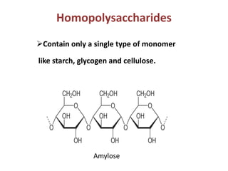 Heteropolysaccharide | PPTX