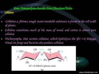 sugar classification and reaction | PPT