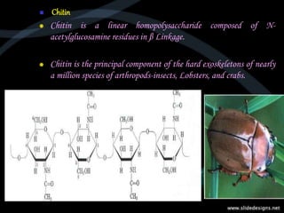 sugar classification and reaction | PPT