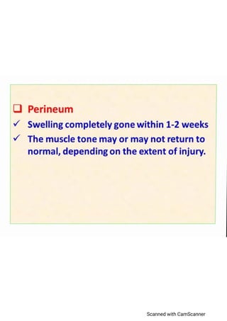 Normal Puerperium | PDF