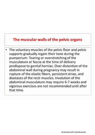 Normal Puerperium | PDF