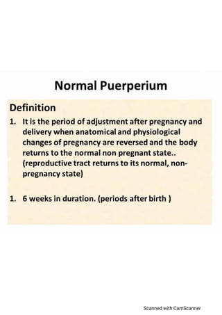 Normal Puerperium | PDF