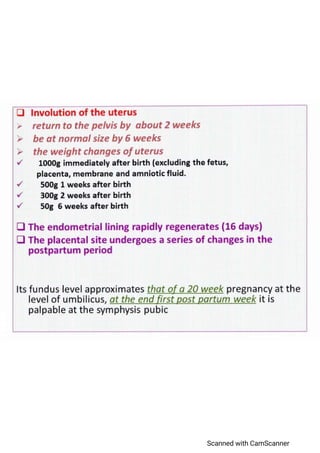 Normal Puerperium | PDF