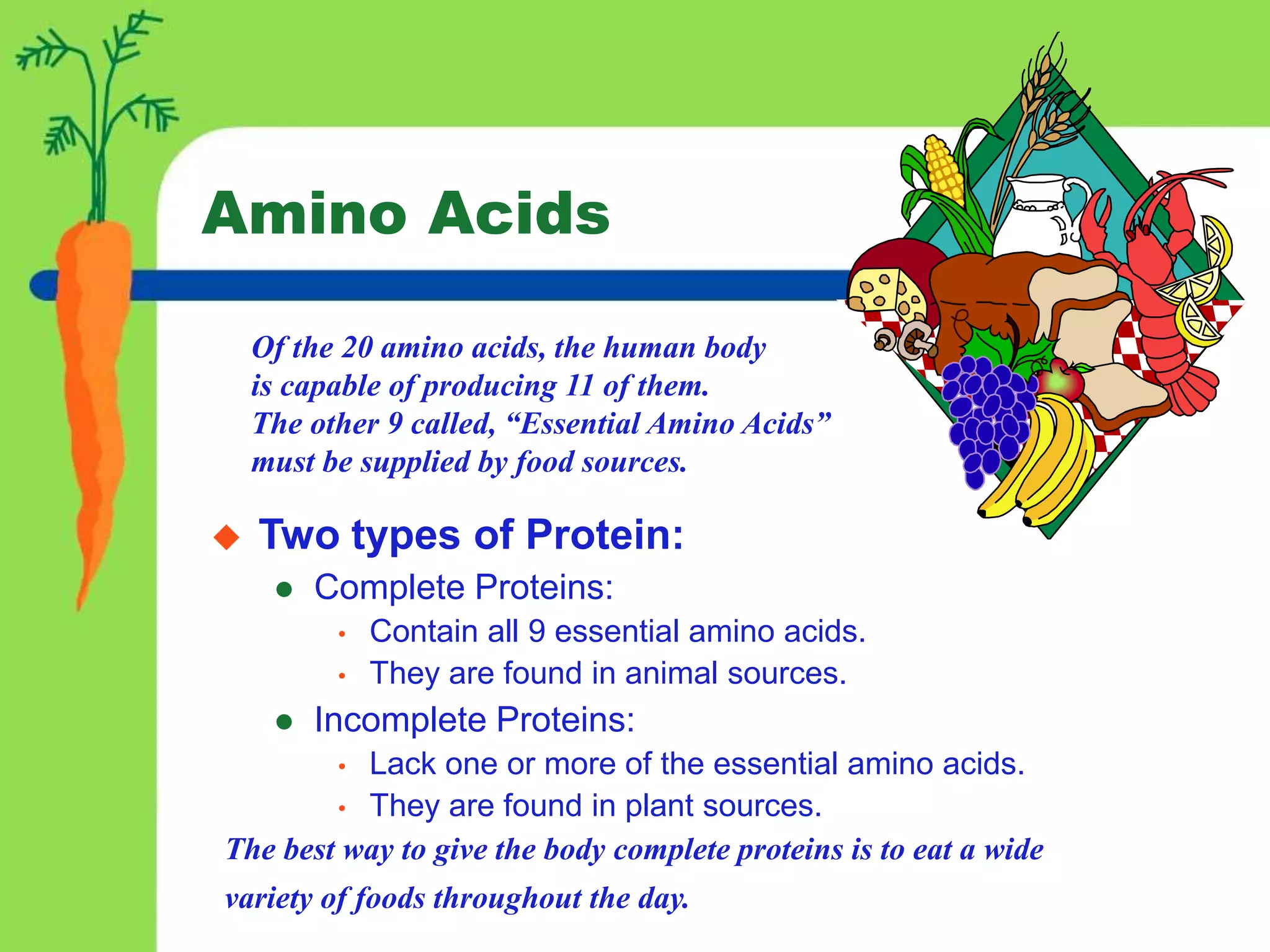 The Food your Body needs | PPT