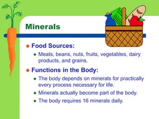 The Food your Body needs | PPT