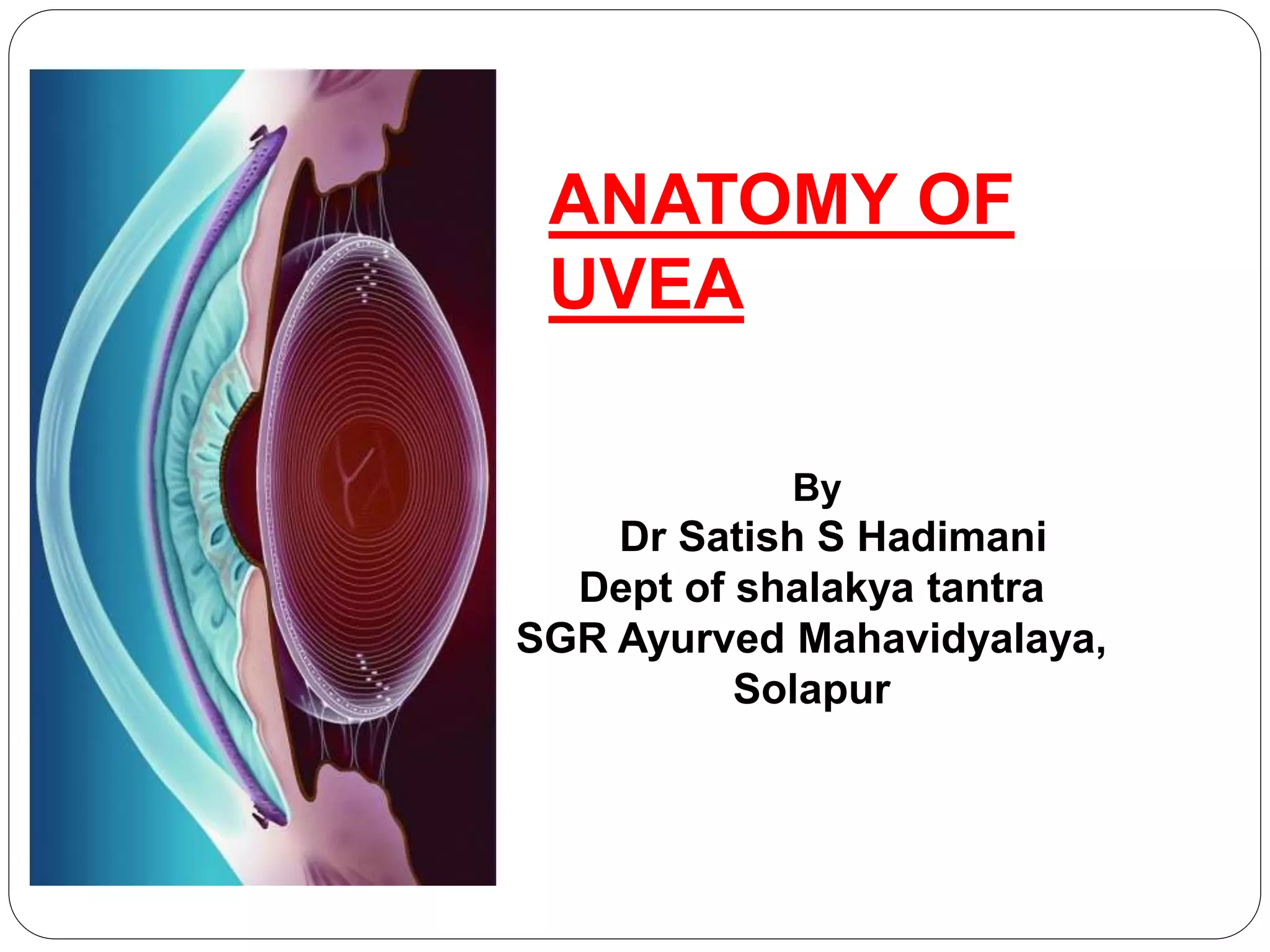 Anatomy of uvea tract(iris, ciliary body and choroid) | PPTX
