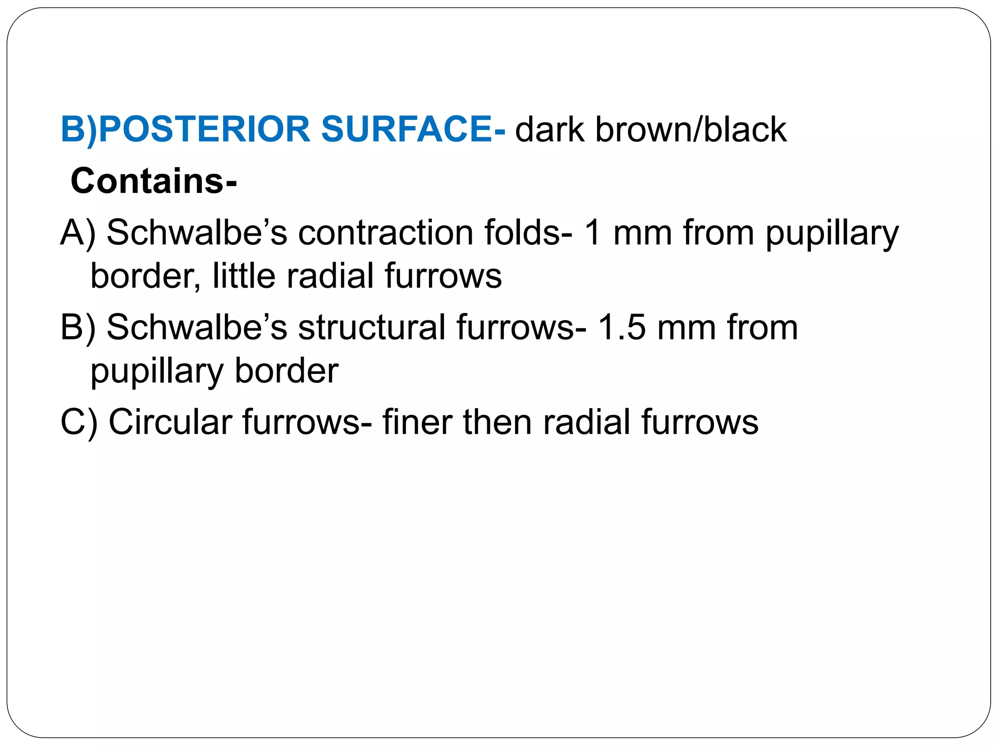 Anatomy of uvea tract(iris, ciliary body and choroid) | PPTX