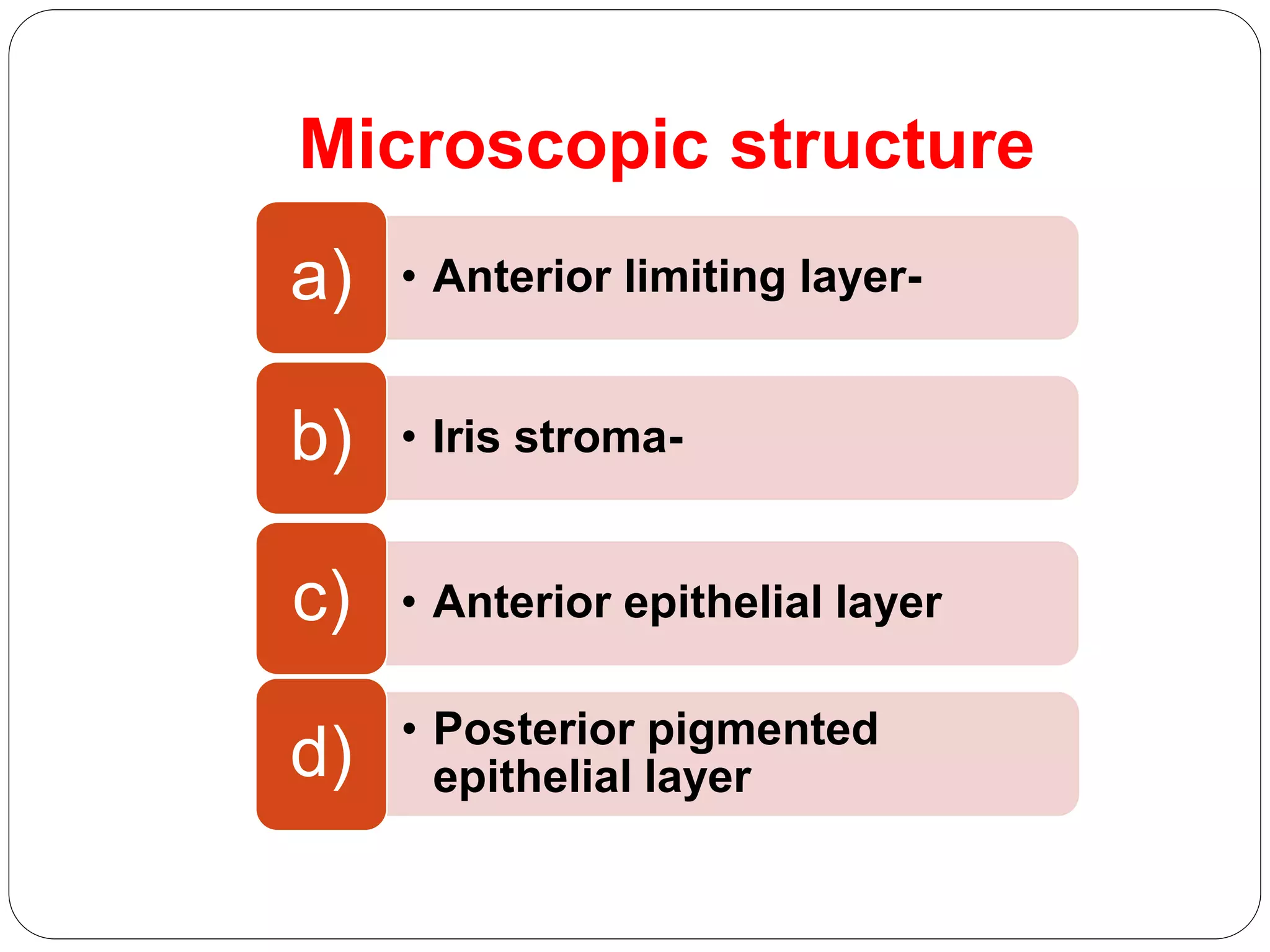 Anatomy of uvea tract(iris, ciliary body and choroid) | PPTX