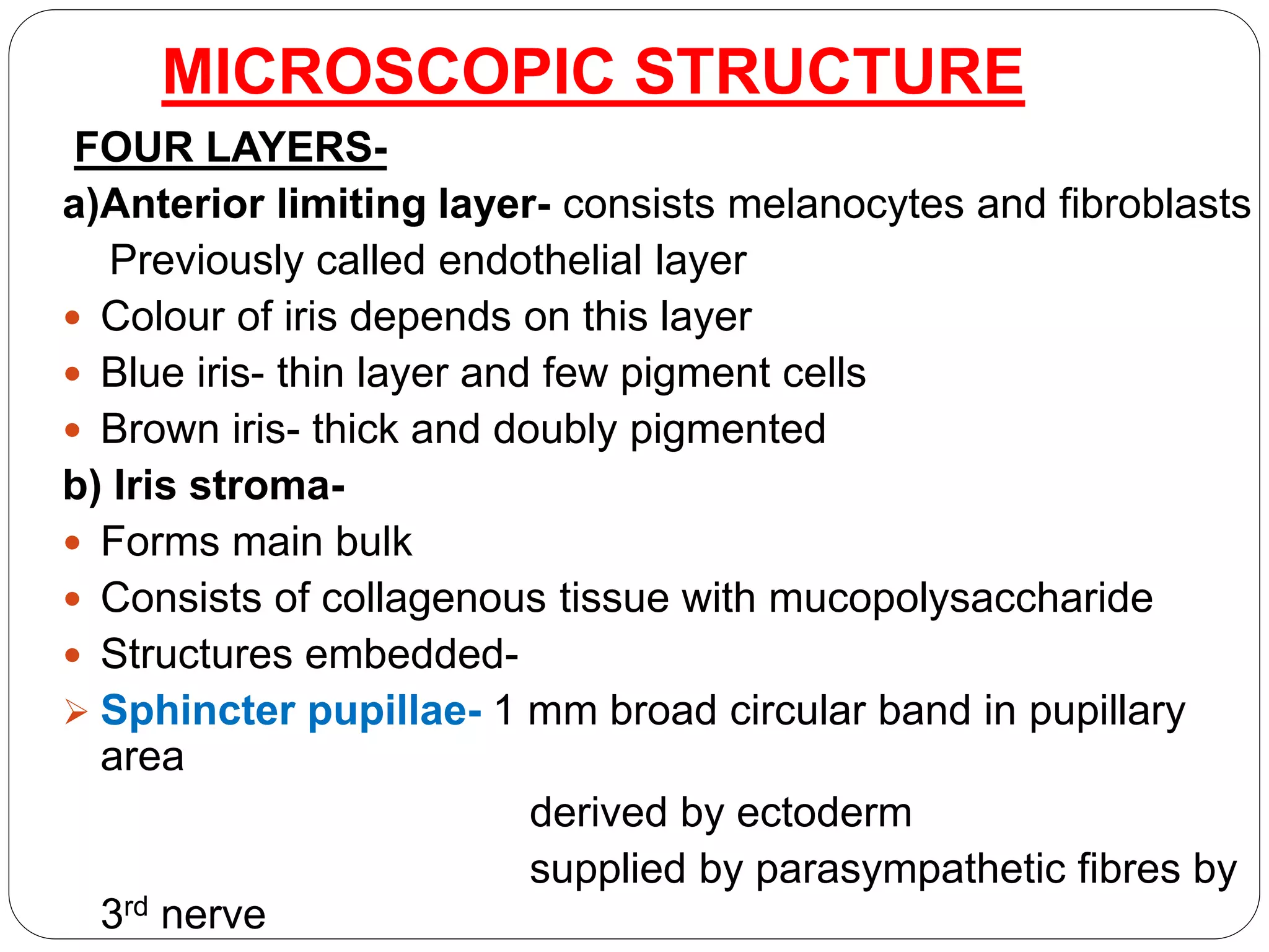 Anatomy of uvea tract(iris, ciliary body and choroid) | PPTX