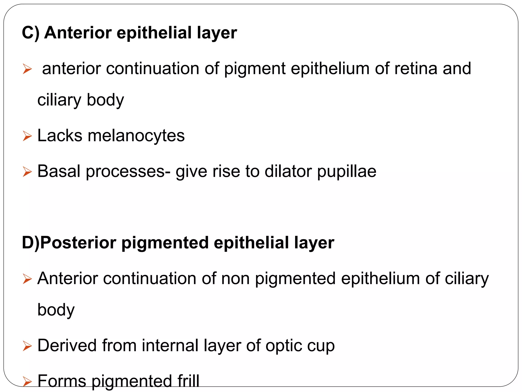 Anatomy of uvea tract(iris, ciliary body and choroid) | PPTX