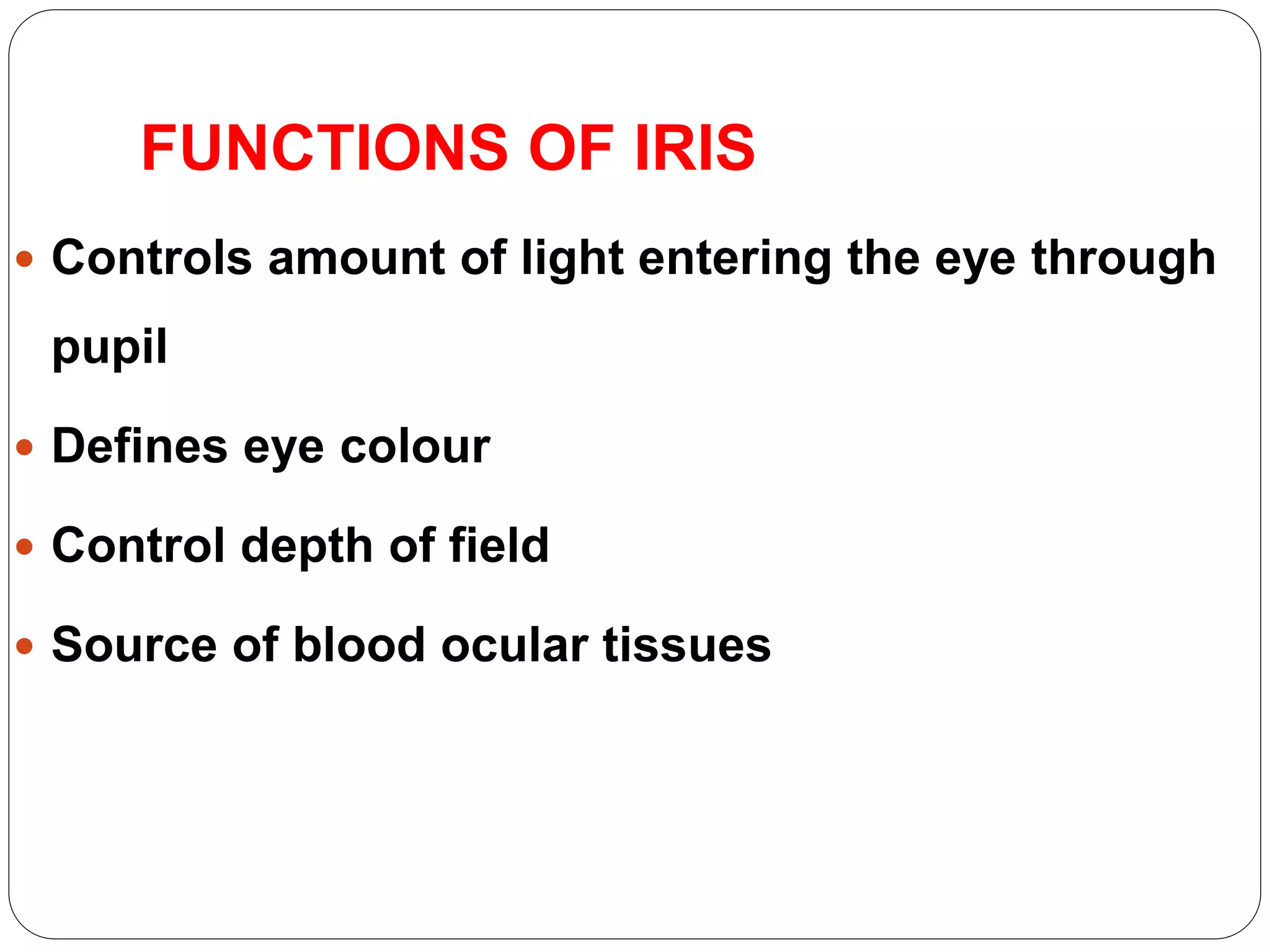 Anatomy of uvea tract(iris, ciliary body and choroid) | PPTX