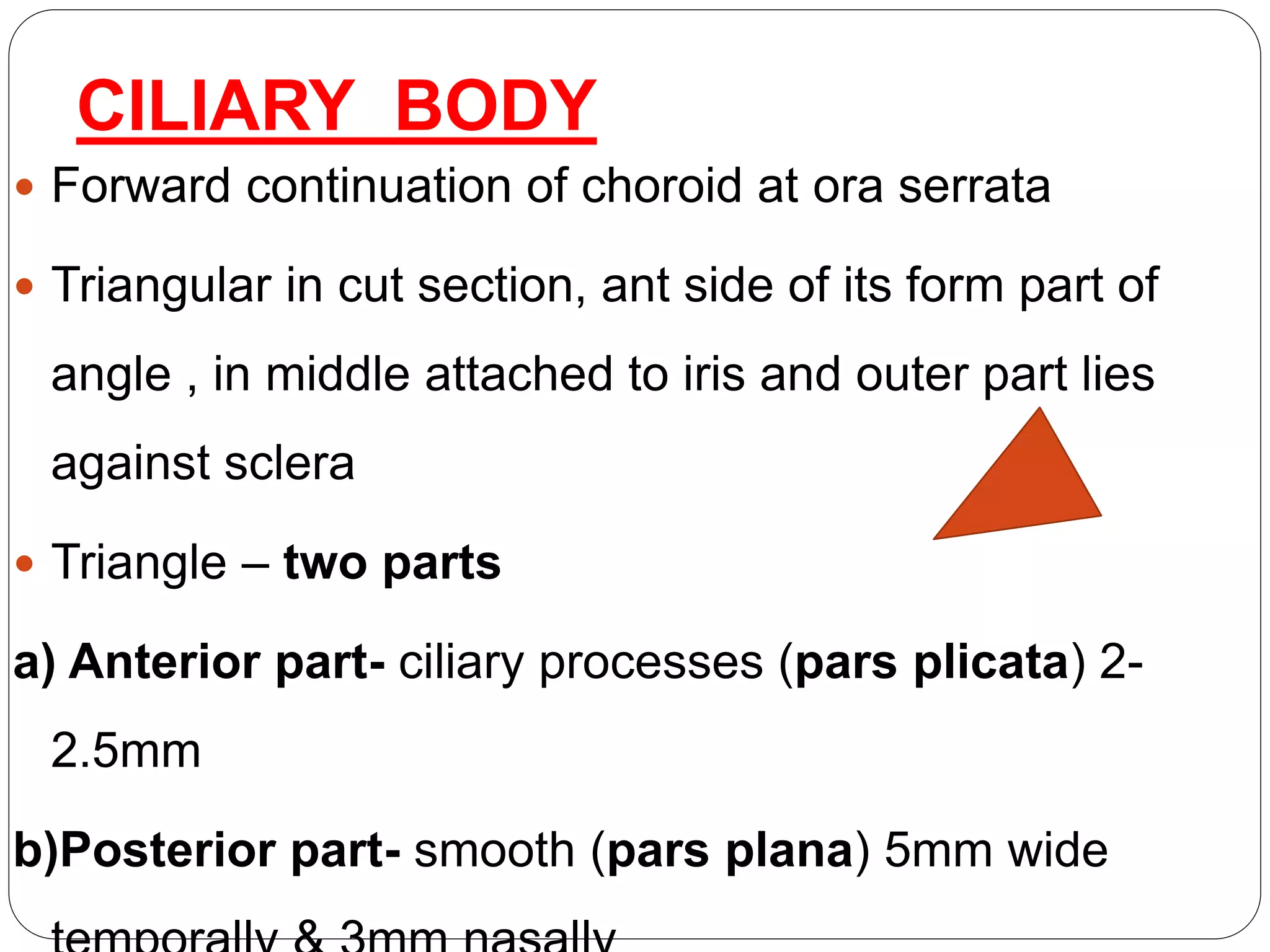 Anatomy of uvea tract(iris, ciliary body and choroid) | PPTX