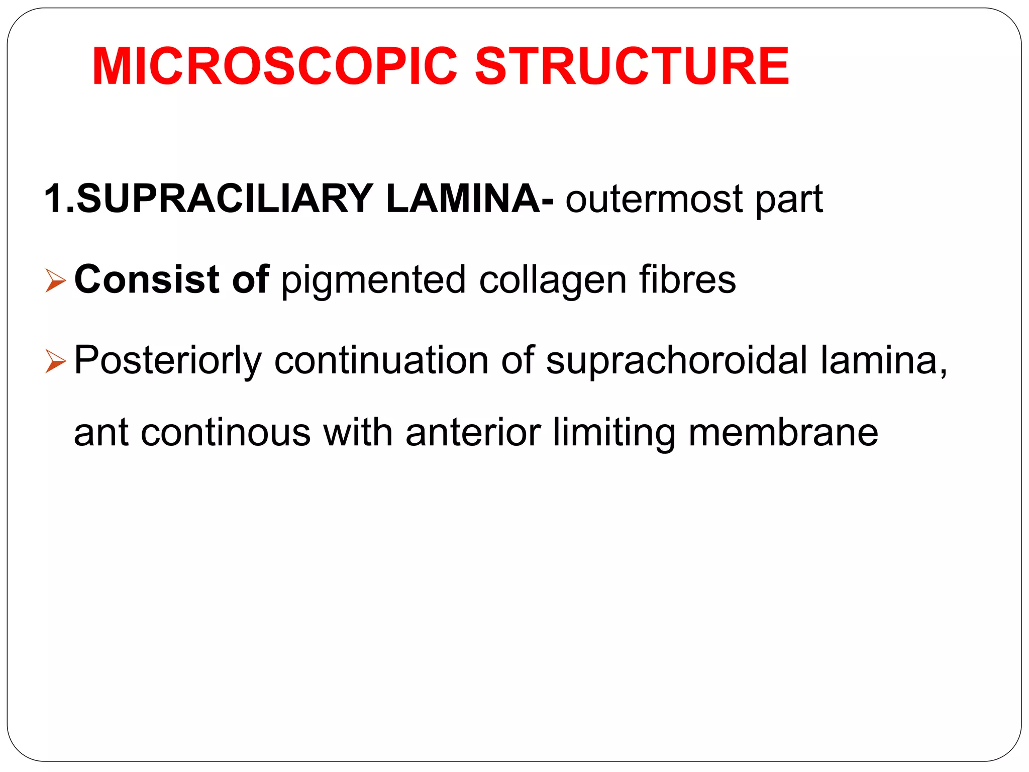Anatomy of uvea tract(iris, ciliary body and choroid) | PPTX