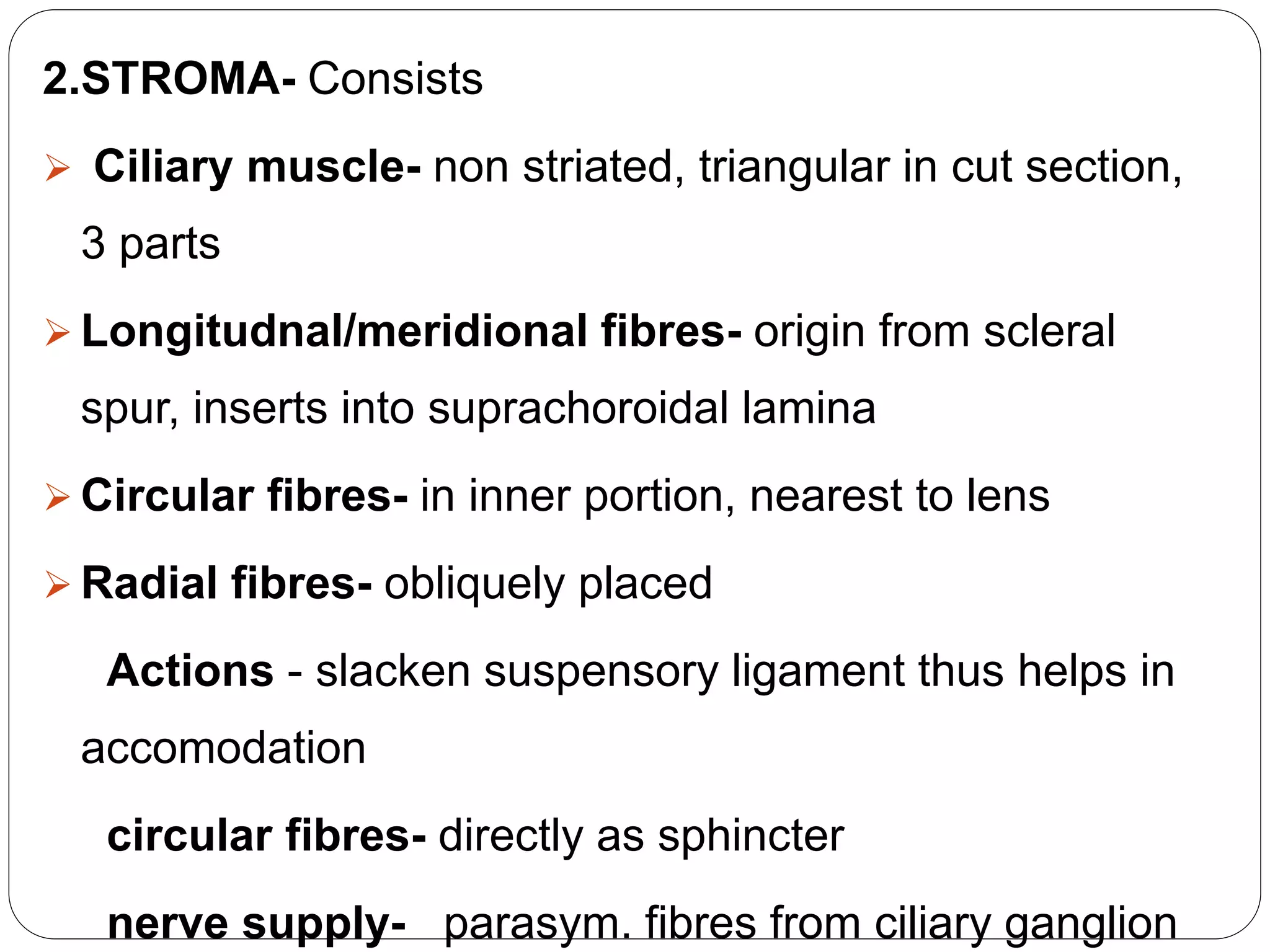 Anatomy of uvea tract(iris, ciliary body and choroid) | PPTX