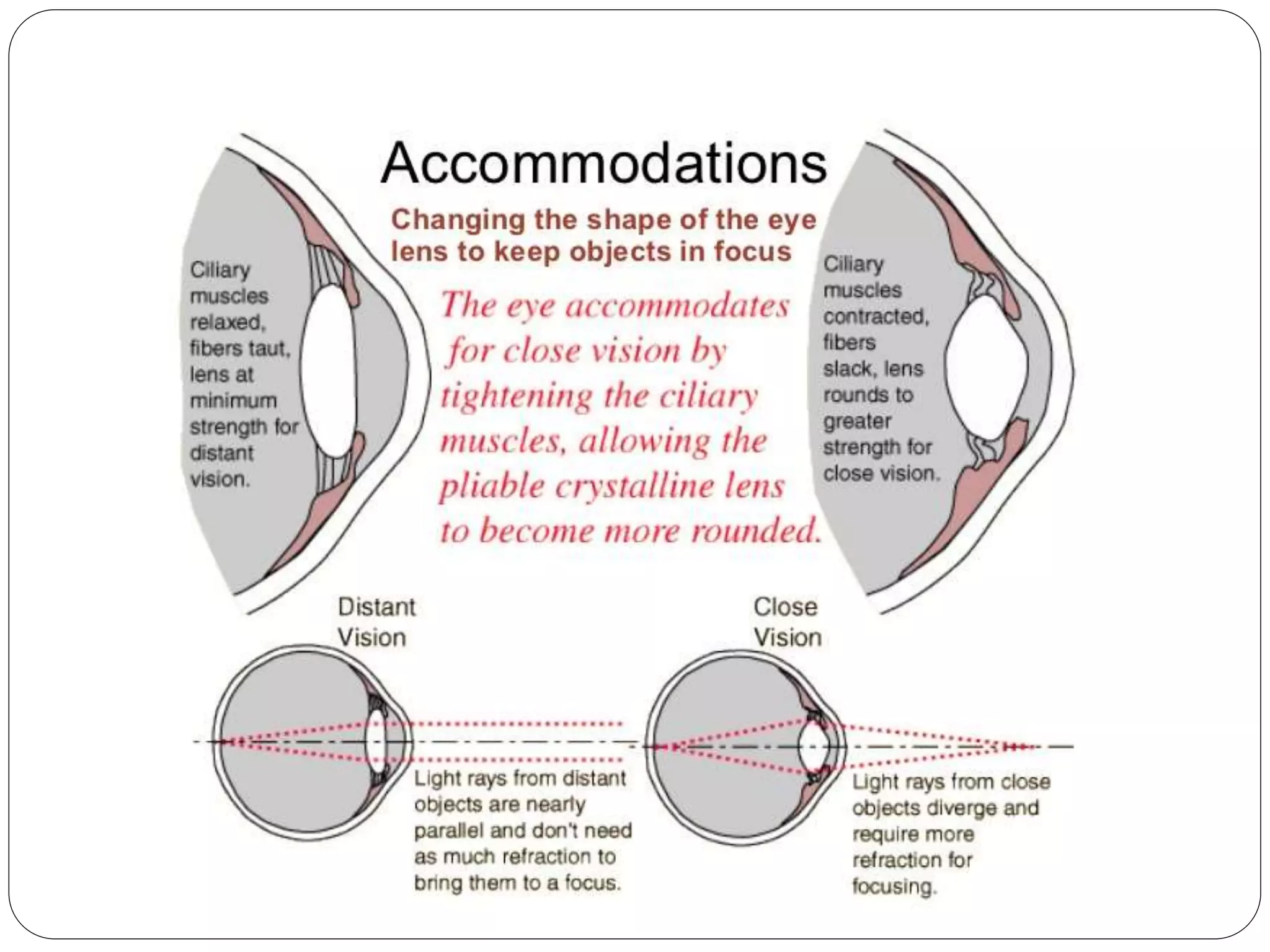Anatomy of uvea tract(iris, ciliary body and choroid) | PPTX