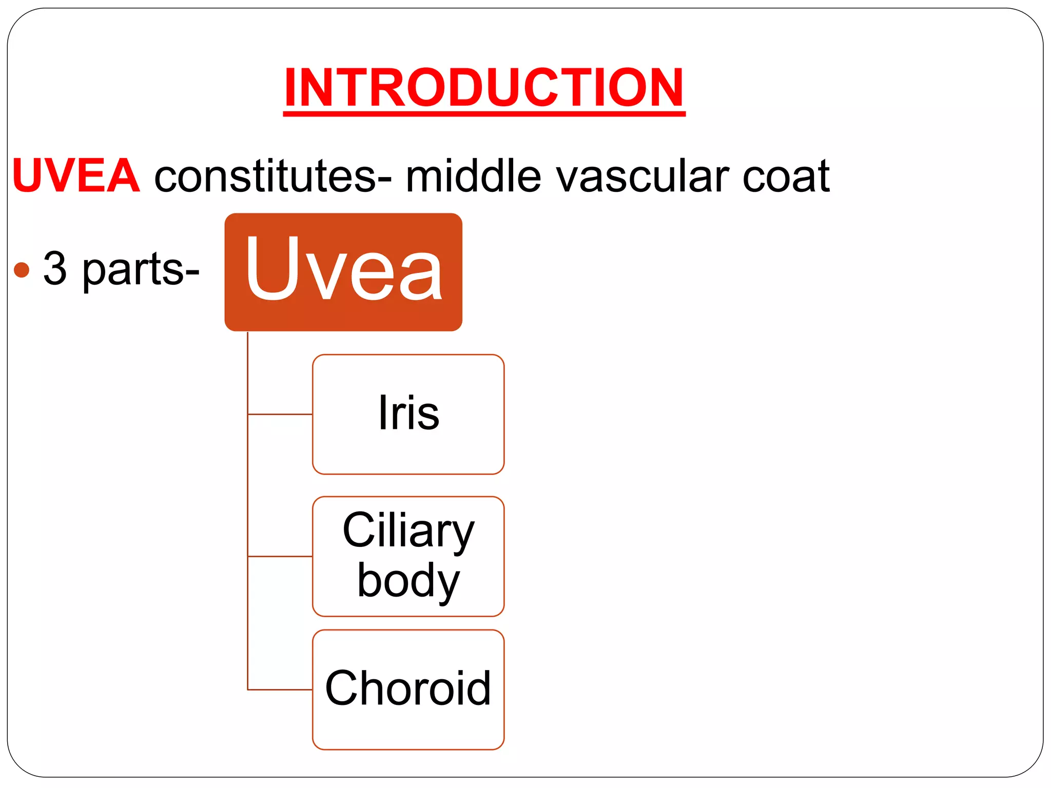 Anatomy of uvea tract(iris, ciliary body and choroid) | PPTX