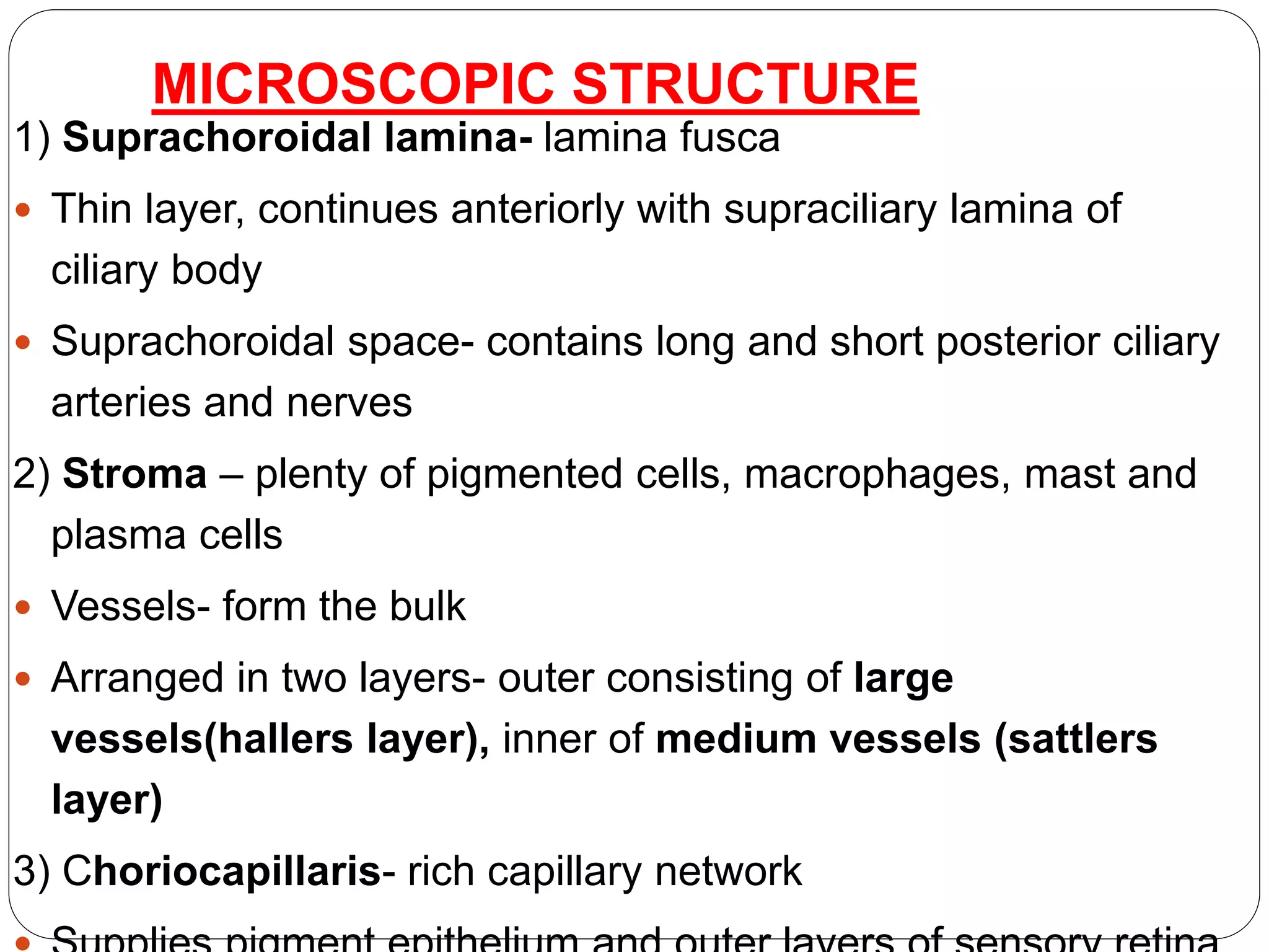 Anatomy of uvea tract(iris, ciliary body and choroid) | PPTX