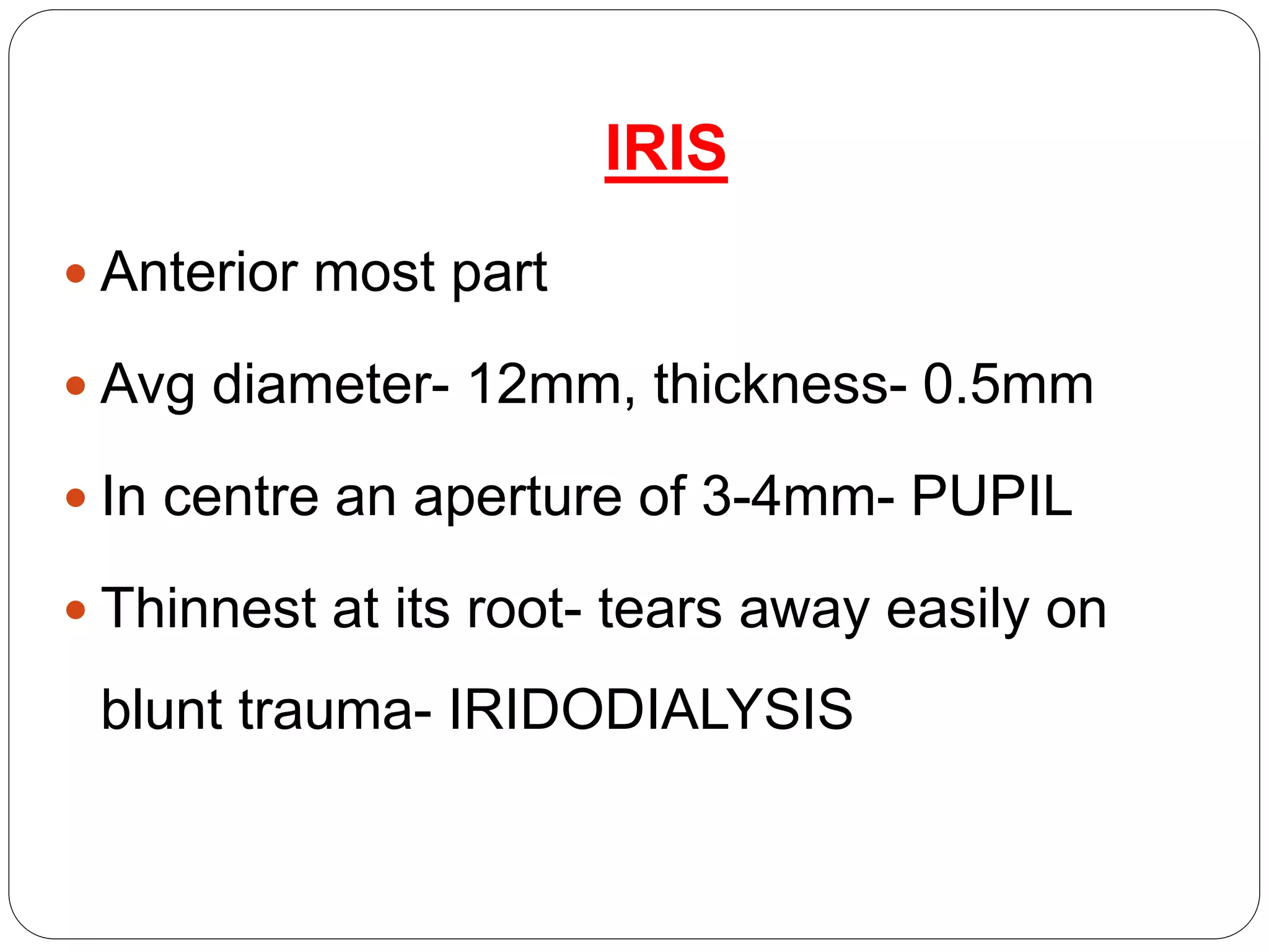Anatomy of uvea tract(iris, ciliary body and choroid) | PPTX