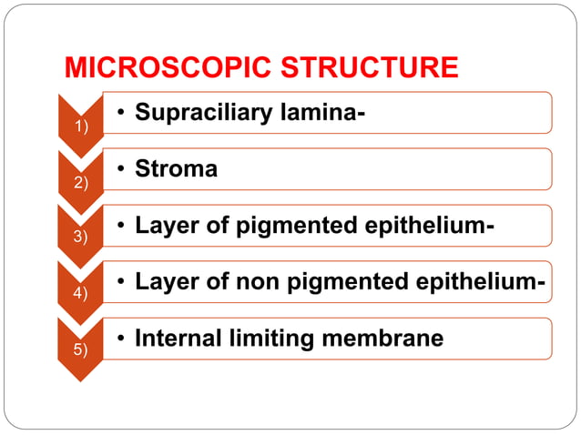 Anatomy of uvea tract(iris, ciliary body and choroid) | PPTX