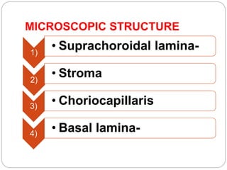 Anatomy of uvea tract(iris, ciliary body and choroid) | PPTX