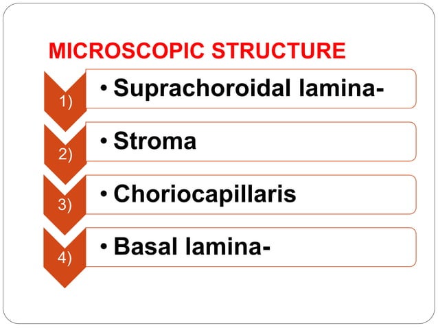 Anatomy of uvea tract(iris, ciliary body and choroid) | PPTX