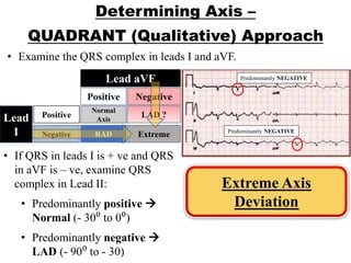 4. ecg basics rate and axis | PPTX | Heart and Cardiovascular Diseases ...