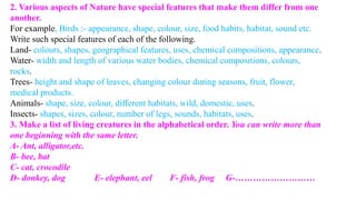 4.english presentation | PPTX | Birdwatching | Hobbies & Interests