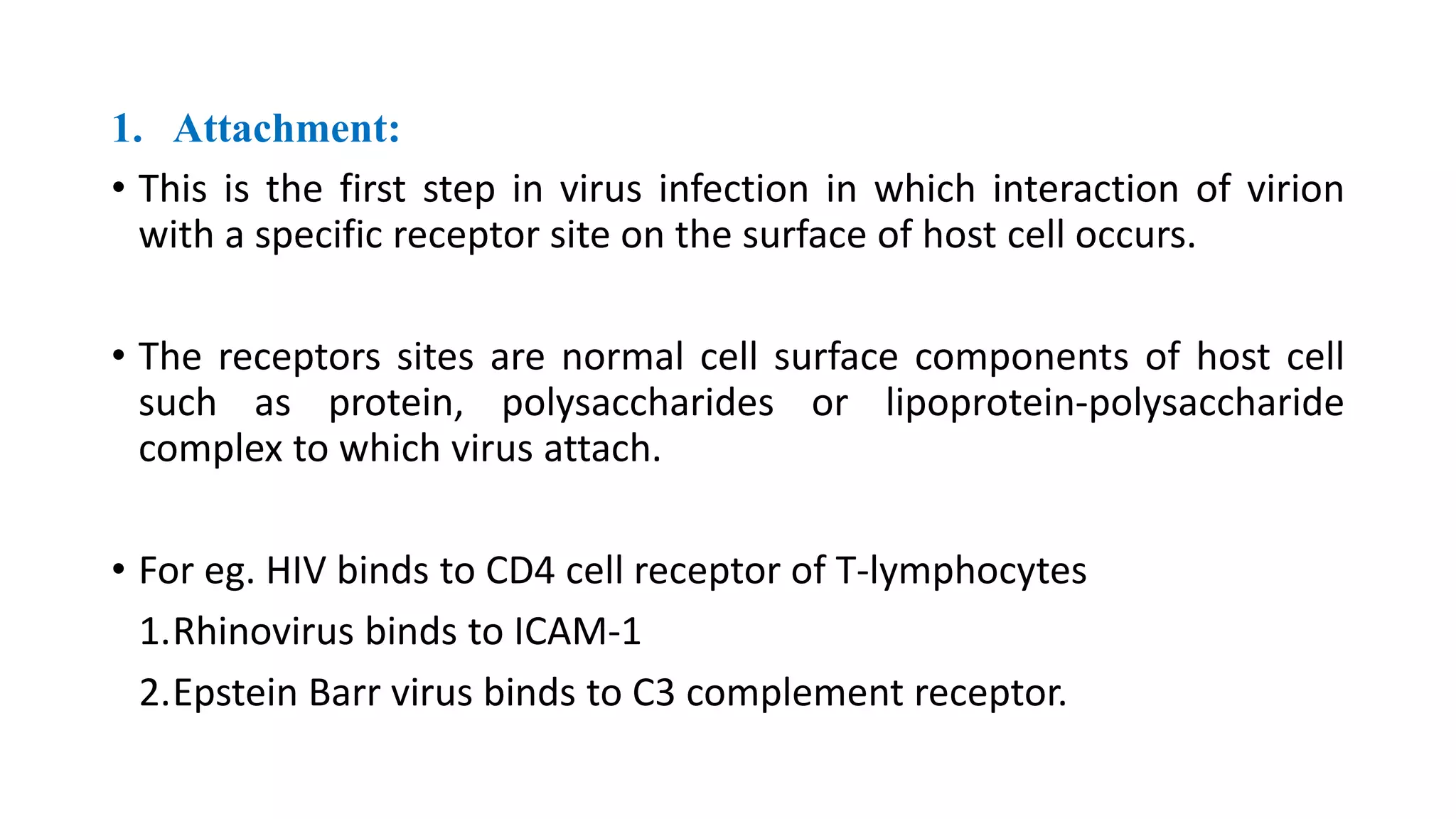 4. life cycle and replication of viruses | PPTX