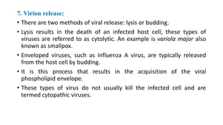 4. life cycle and replication of viruses | PPTX