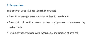 4. life cycle and replication of viruses | PPTX