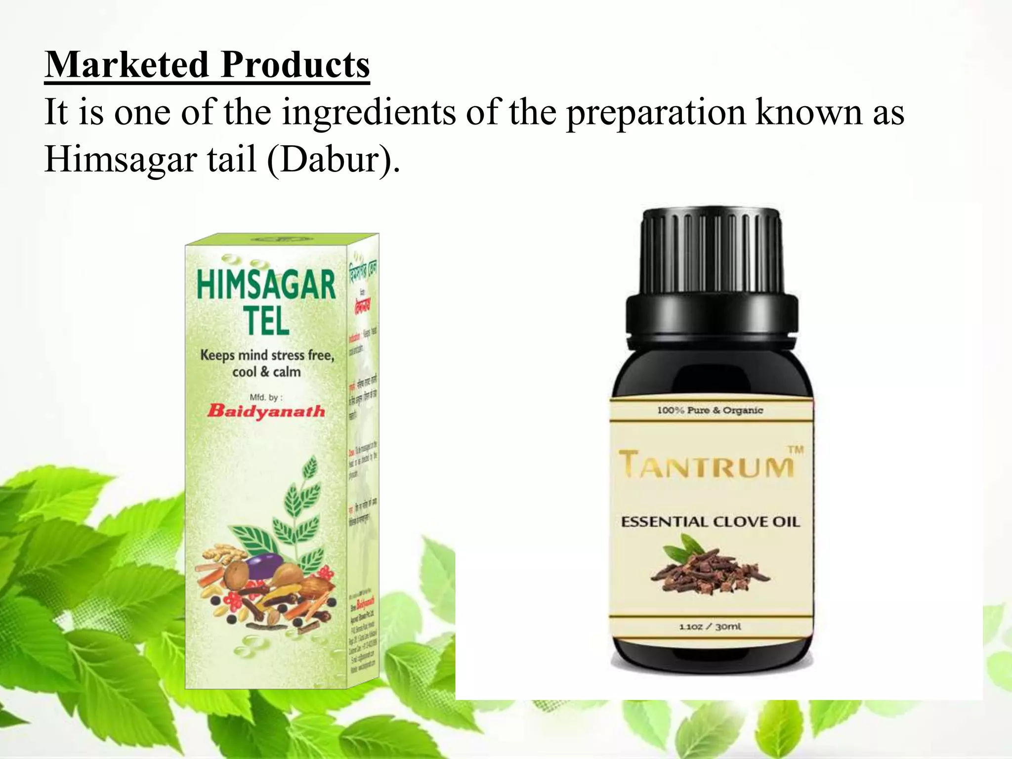 4.volatile oils | PDF