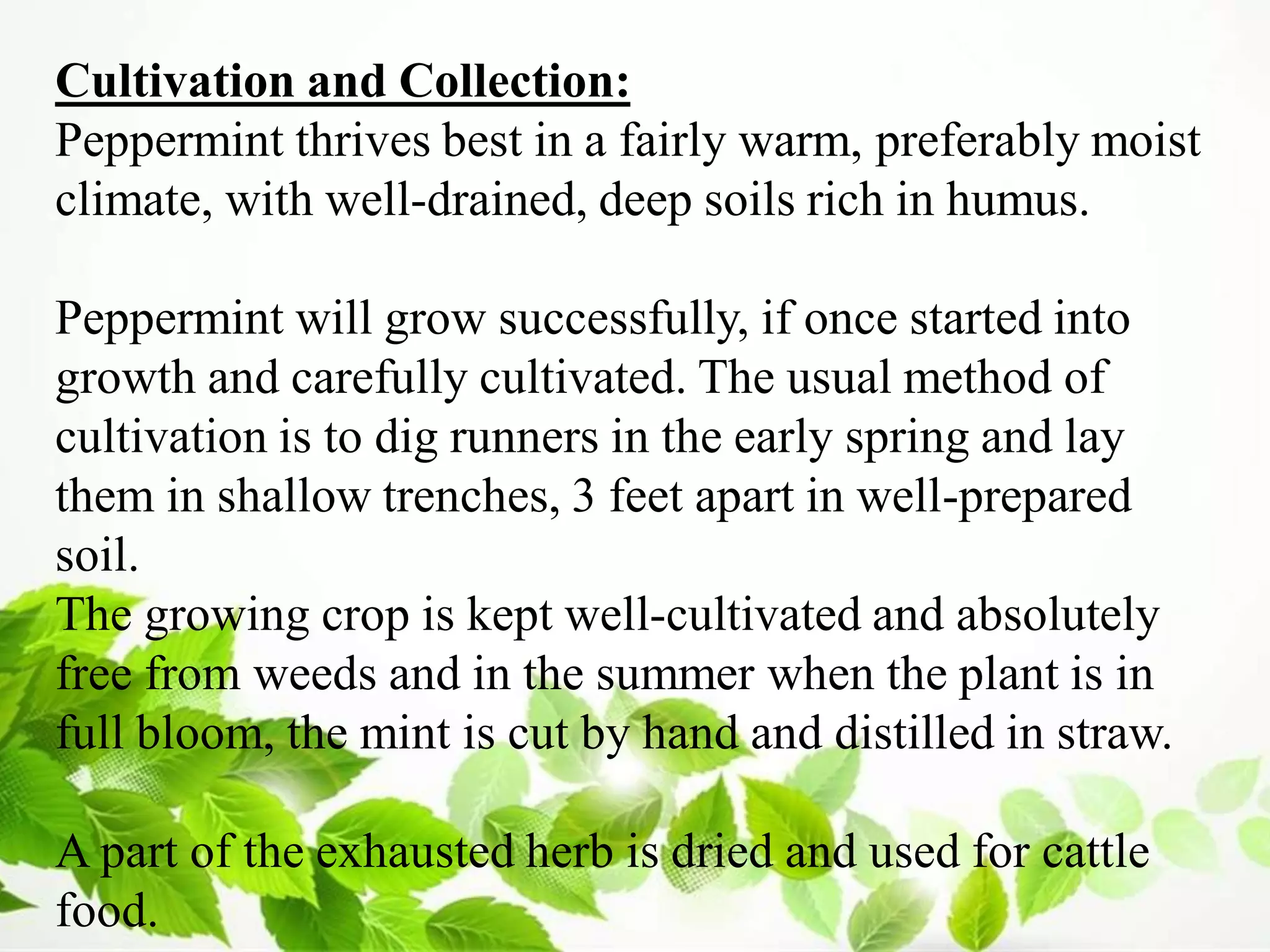4.volatile oils | PDF