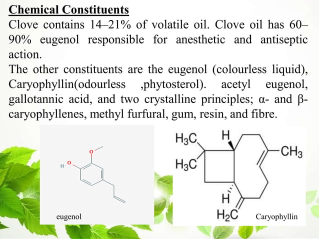 4.volatile oils | PDF | Gardening | Home & Garden