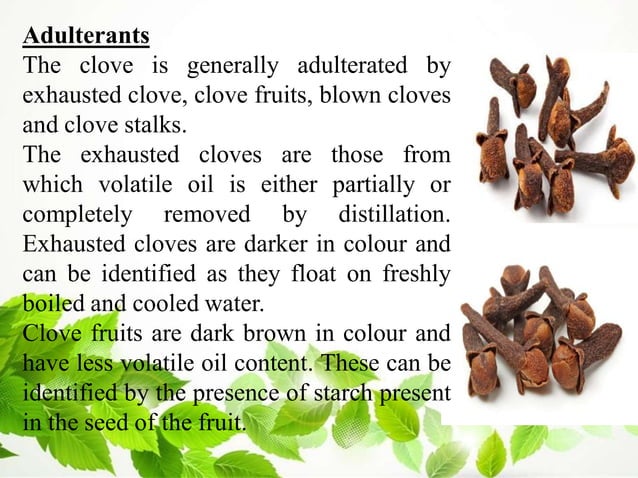 4.volatile oils | PDF | Gardening | Home & Garden