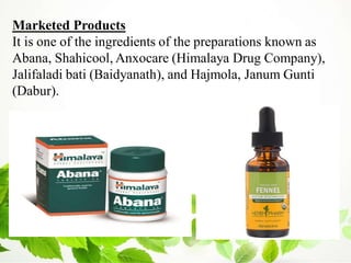 4.volatile oils | PDF