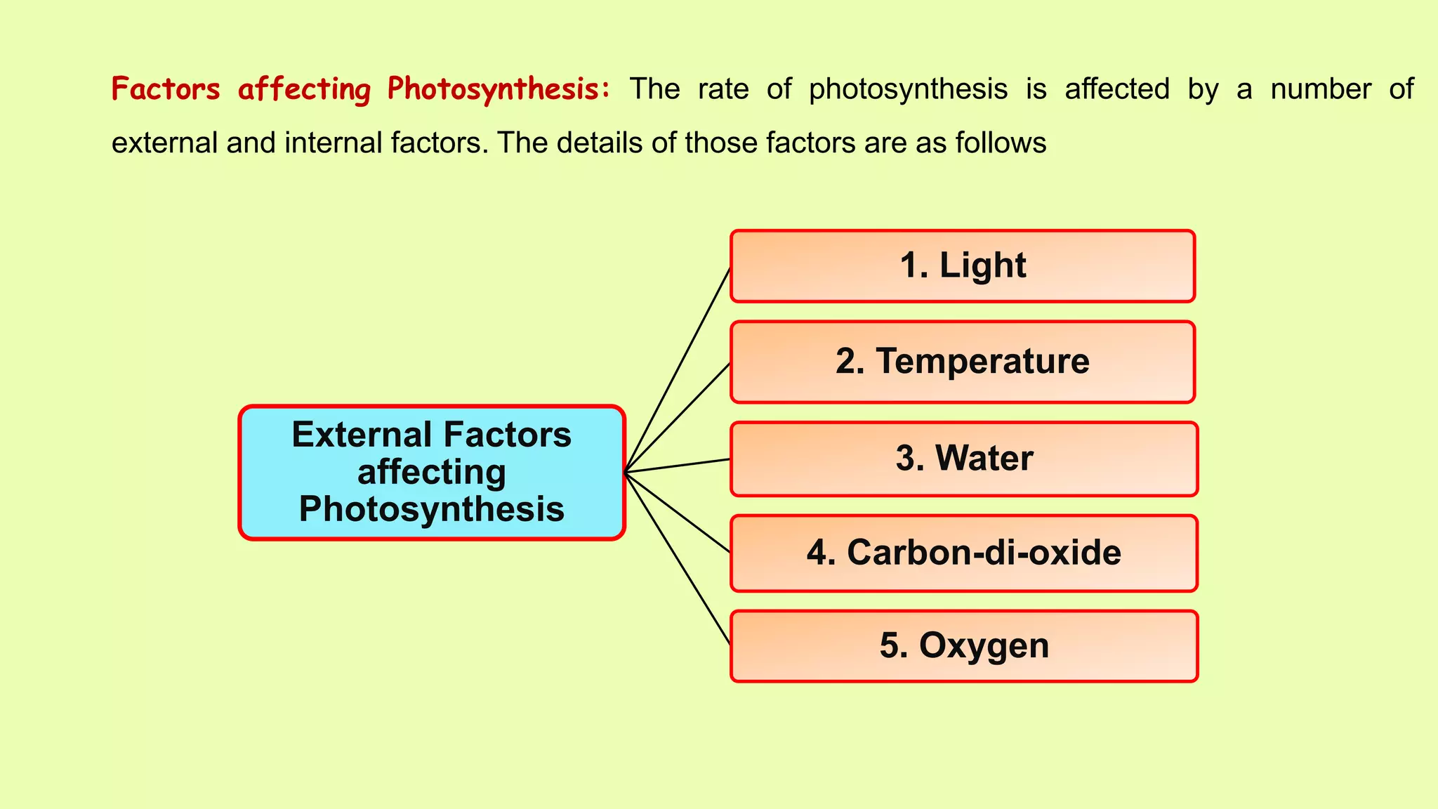 Factors affecting photosynthesis | PPTX