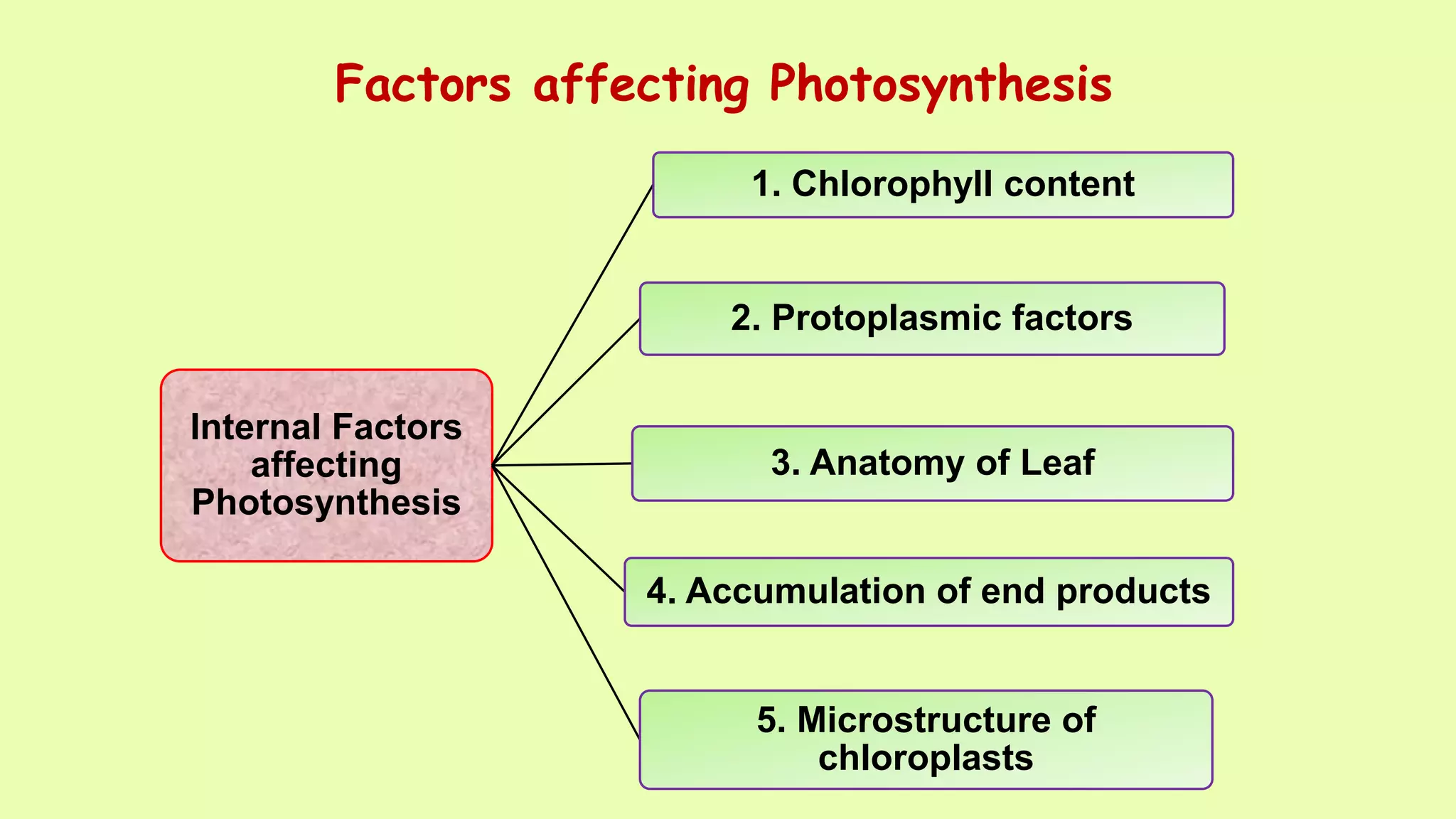 Factors affecting photosynthesis | PPTX