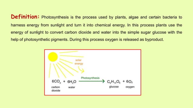 Factors affecting photosynthesis | PPTX