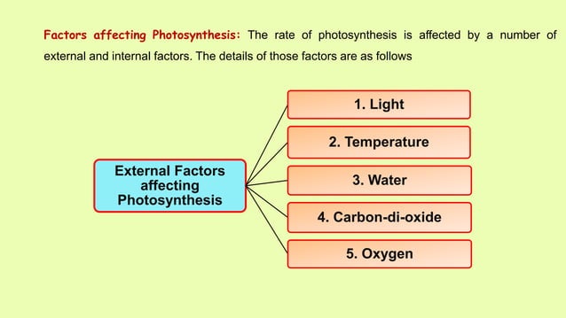 Factors affecting photosynthesis | PPTX