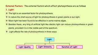 Factors affecting photosynthesis | PPTX