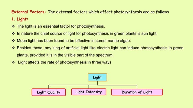 Factors affecting photosynthesis | PPTX