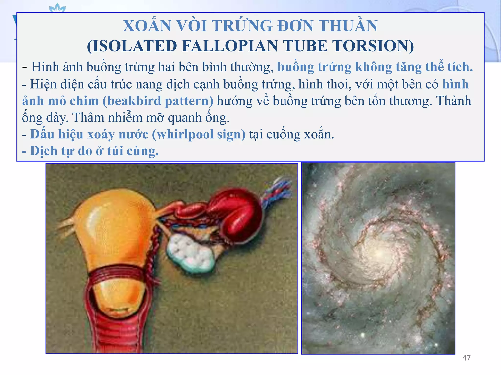 4. sacd xoan phan phu.10.2017.vsum.medic.k23