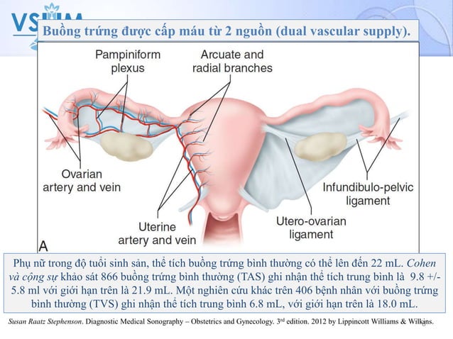 4. sacd xoan phan phu.10.2017.vsum.medic.k23
