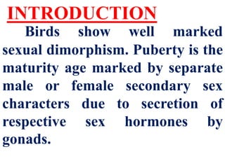 Sex Determination in Birds | PDF