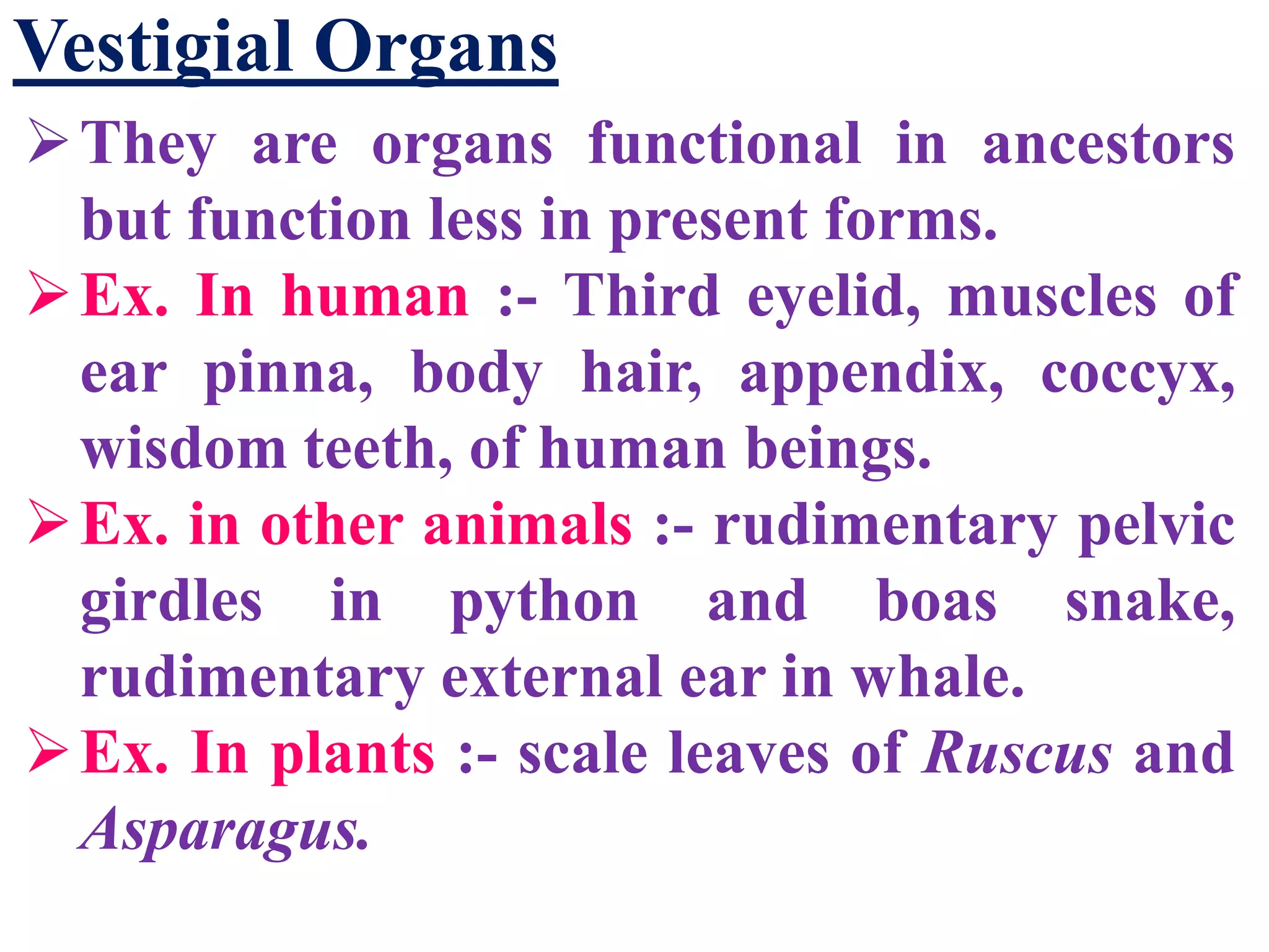Evidences of Organic Evolution | PDF