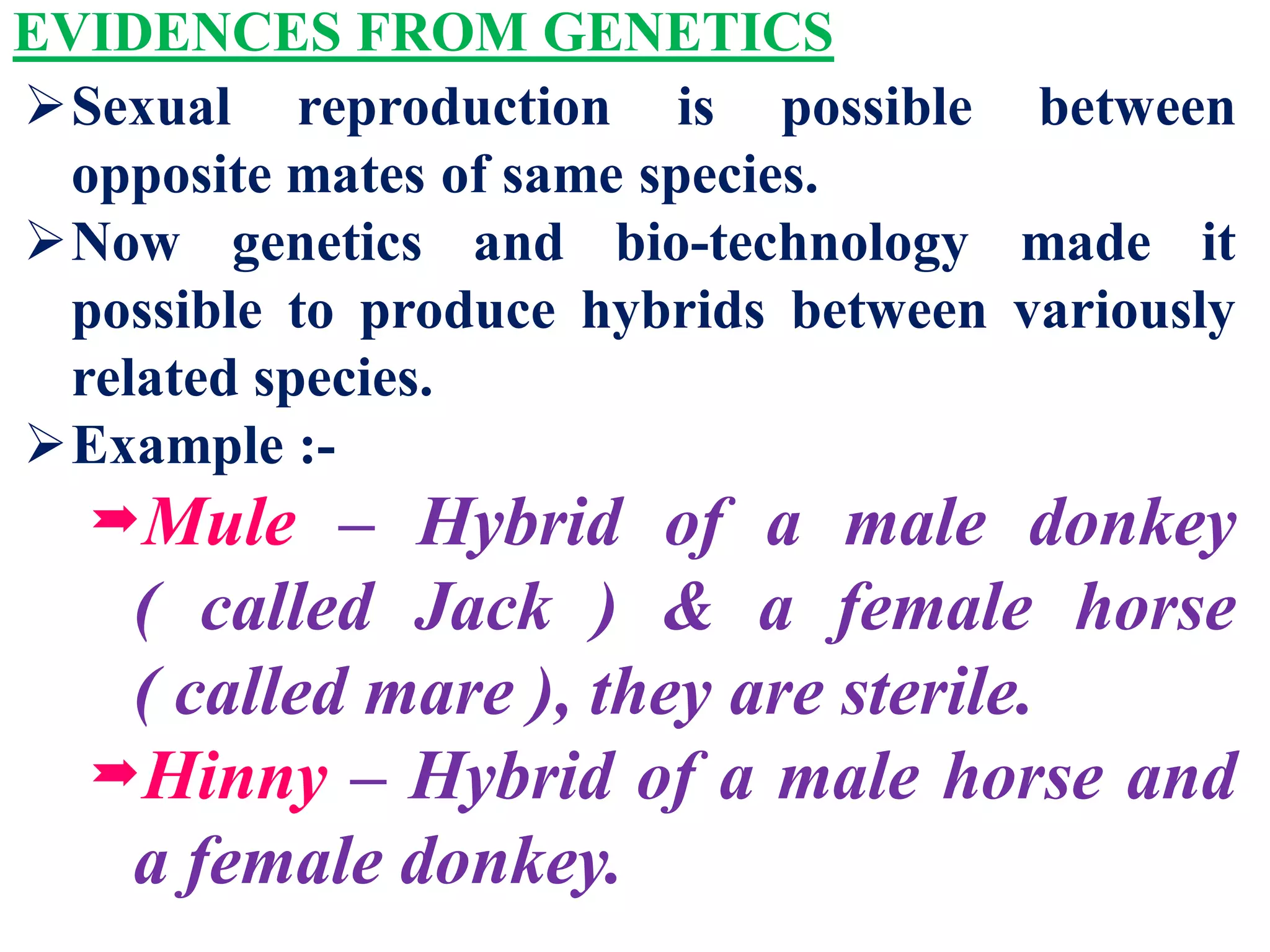 Evidences of Organic Evolution | PDF