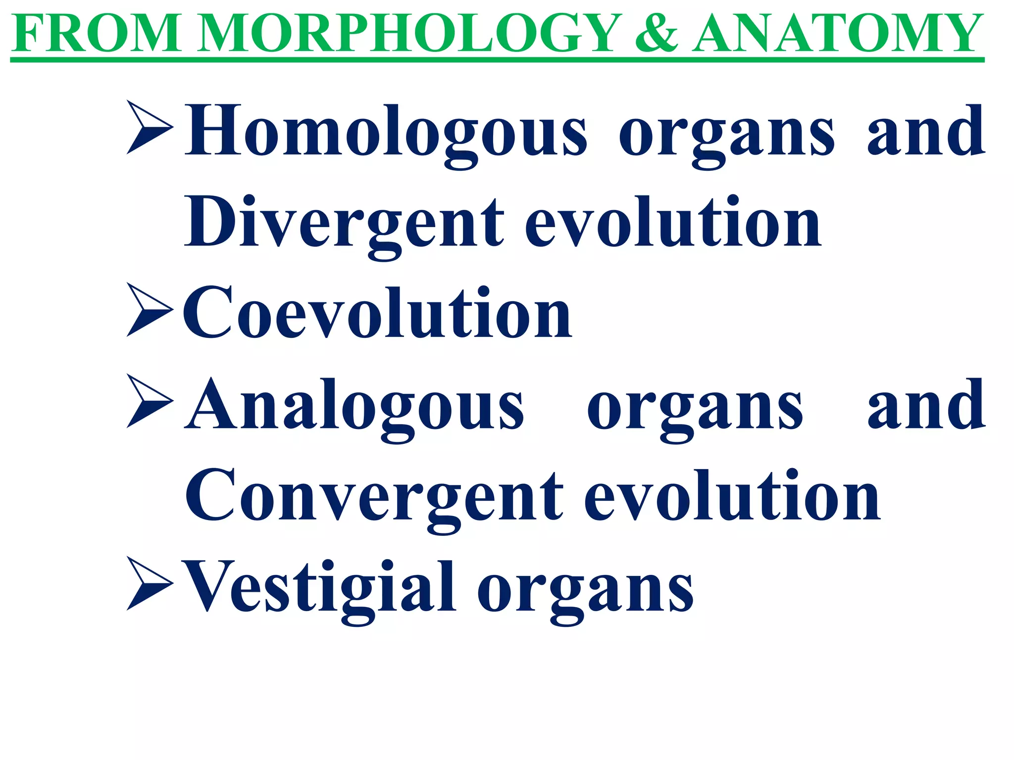 Evidences of Organic Evolution | PDF